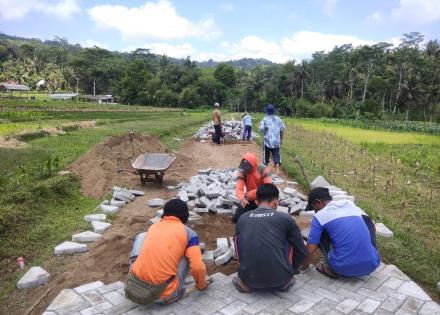 Peningkatan Jalan Usaha Tani RT 35 - Website Desa Jombok