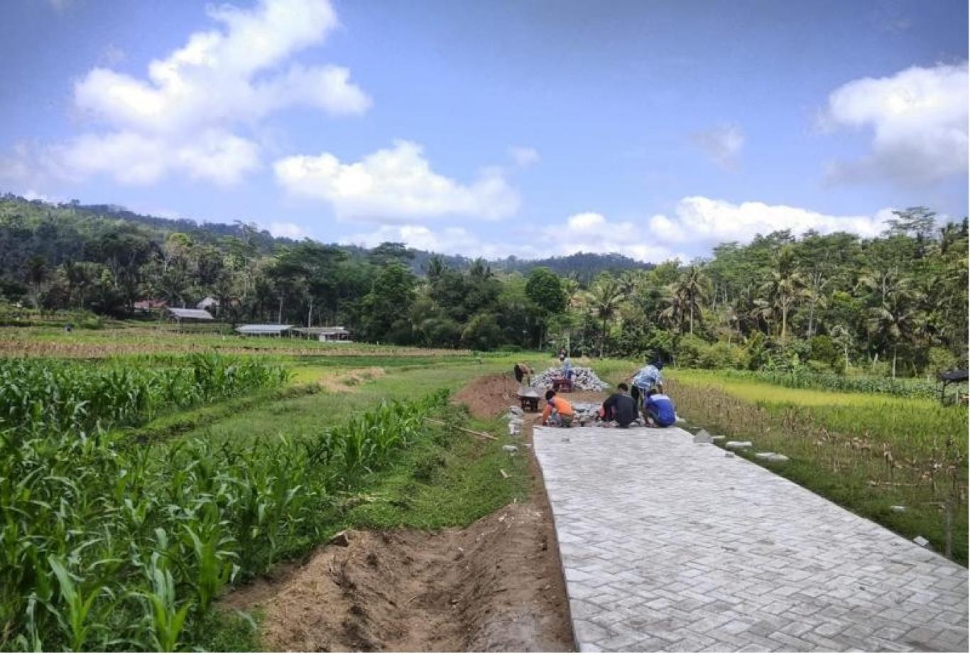 Peningkatan Jalan Usaha Tani RT 35 - Website Desa Jombok