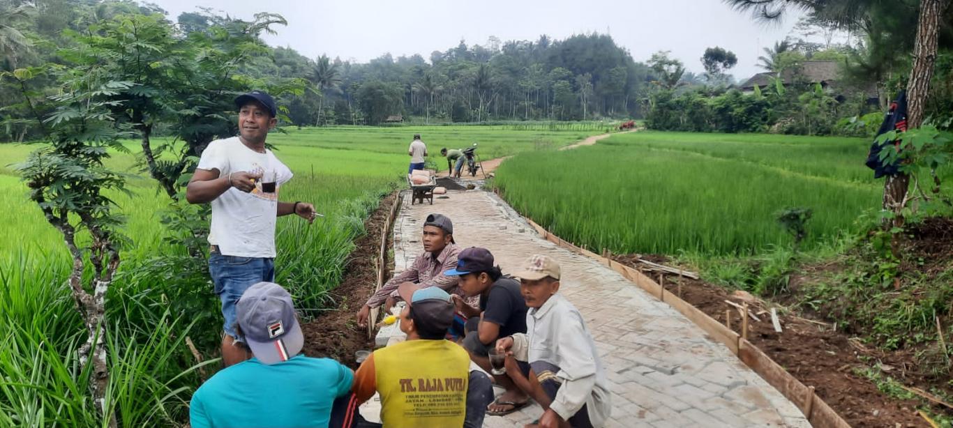 Peningkatan Jalan Usaha Tani RT 52 - Website Desa Jombok