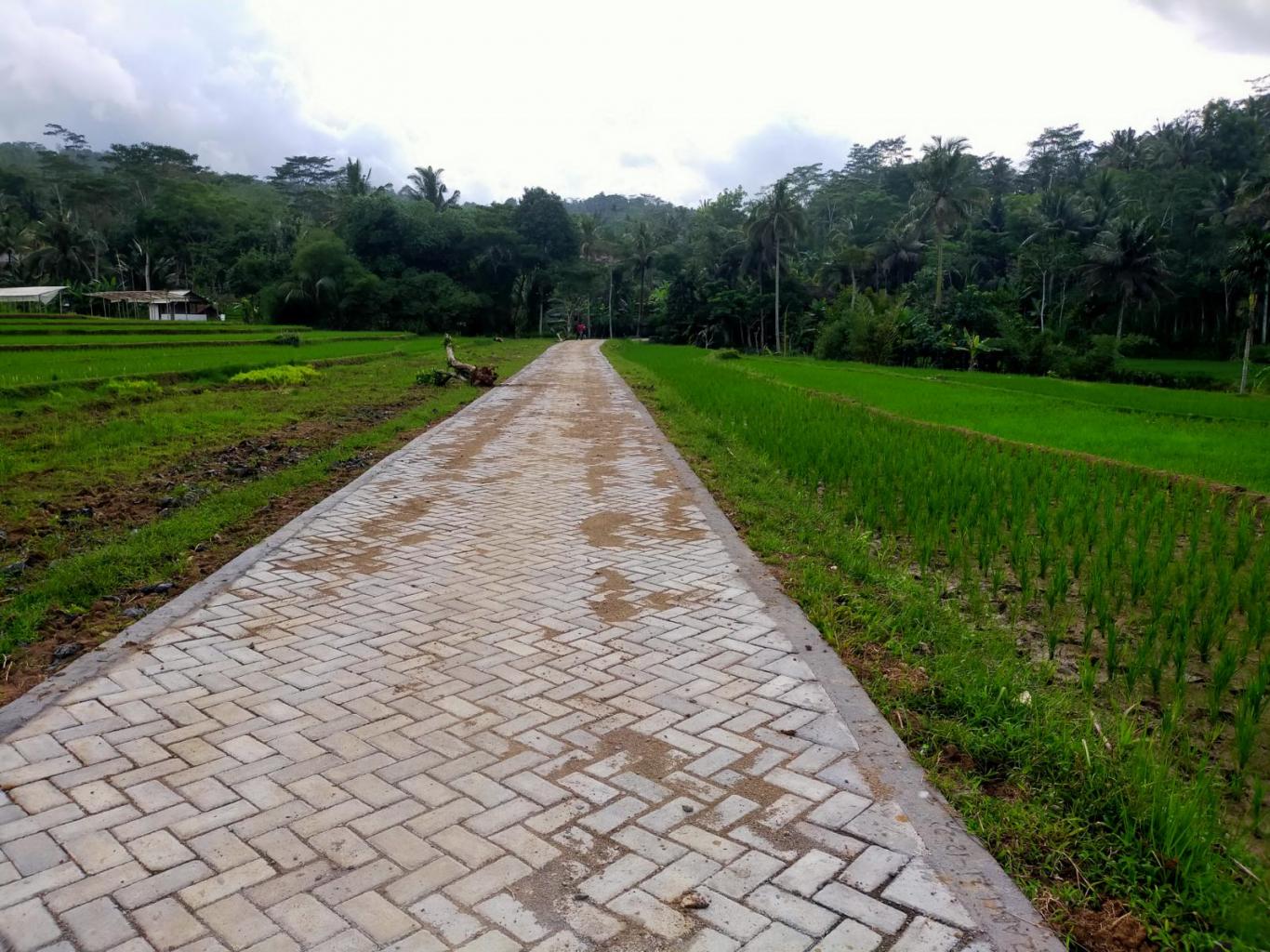 Peningkatan Jalan Usaha Tani RT 32 - Website Desa Jombok